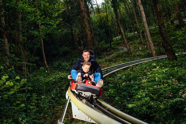 Zip World Fforest Coaster Ride Experience | Buyagift