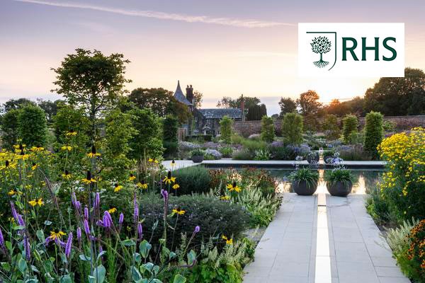 Rhs membership store